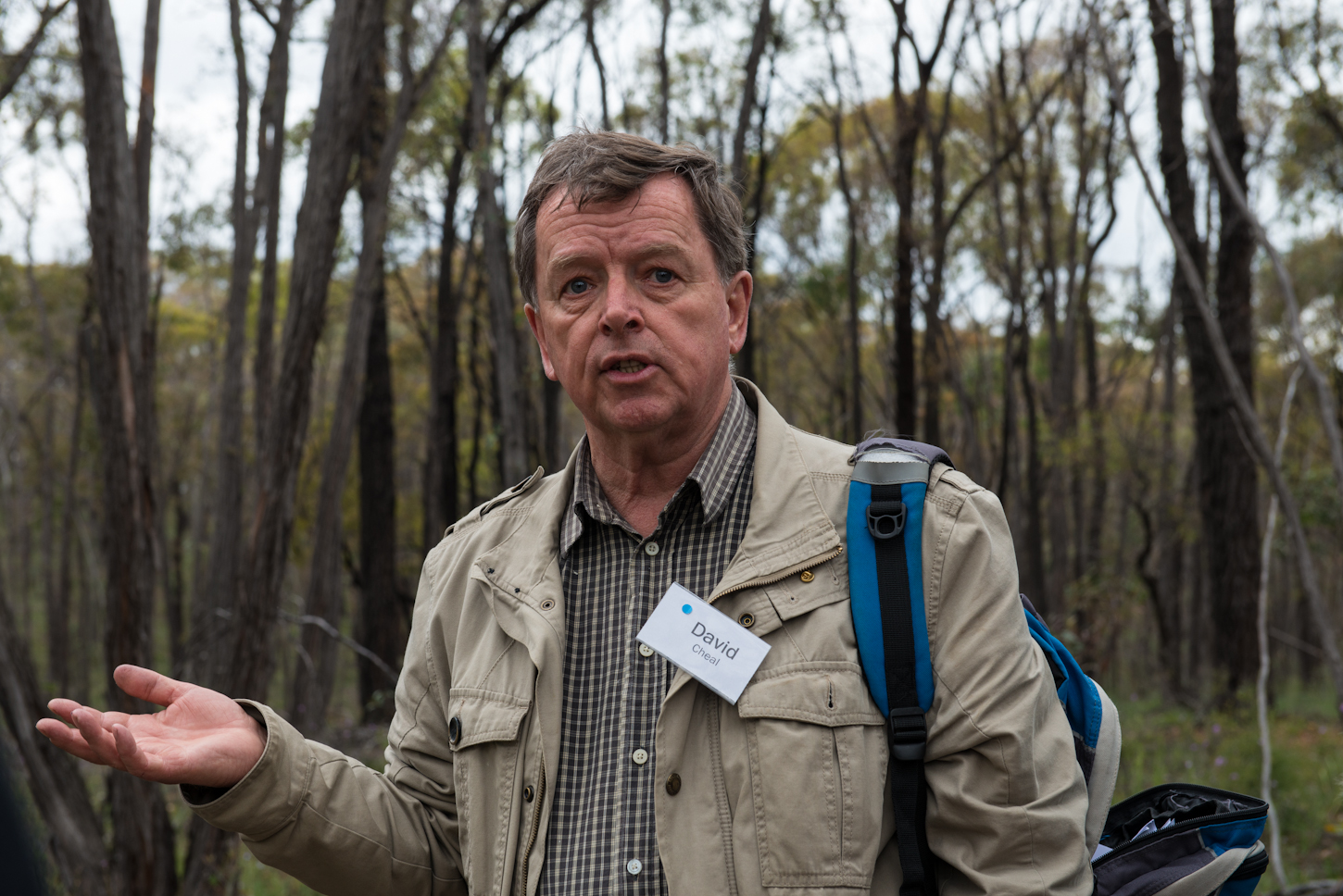 David Cheal – Talking Fire