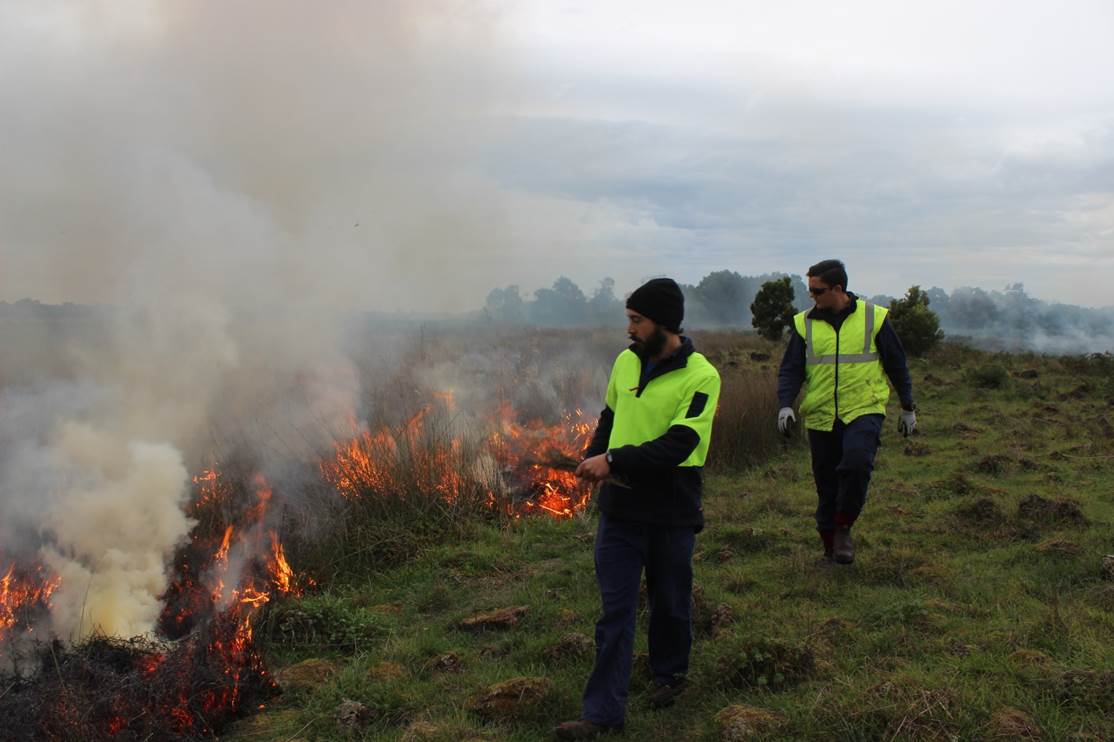 Talking Fire: Reviving Indigenous Burning Practices (2018) – Talking Fire