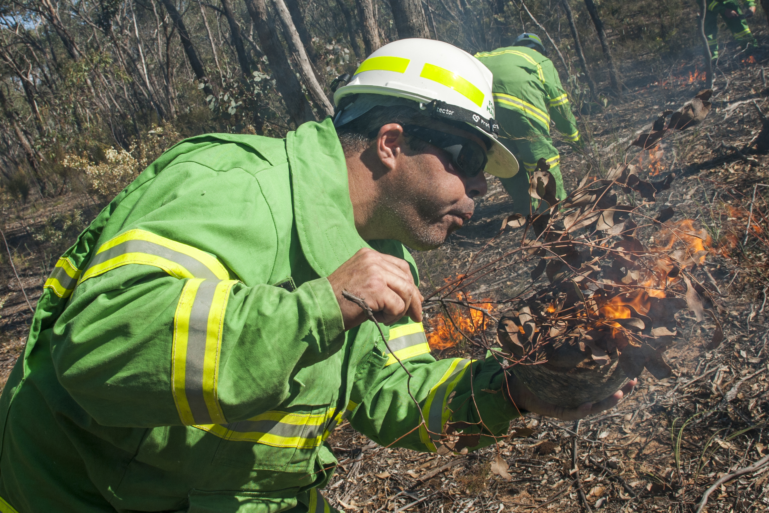 Reviving Indigenous burning practices in a changed landscape: Report on ...